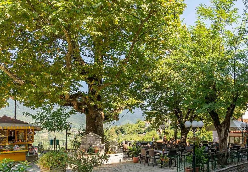 Φυτοφάρμακο «απειλή» για το Μεγάλο Χωριό – Ανθρώπινο χέρι πίσω από το ...